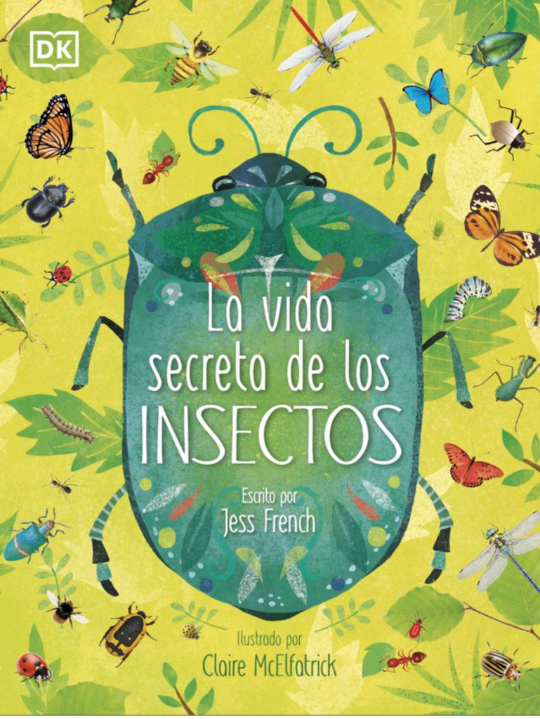 LA VIDA SECRETA DE LOS INSECTOS – Vivero Ecores